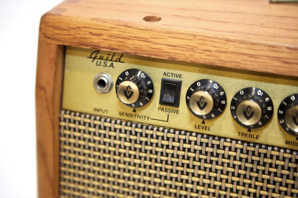 Guild G300 Tamarack Acoustic Amplifier | GAD's Ramblings